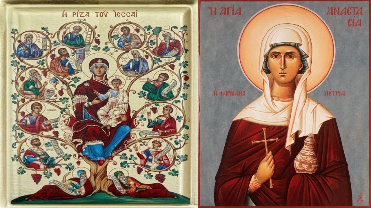 Κυριακὴ πρὸ τῆς Χριστοῦ Γεννήσεως - Τῆς Ἁγίας Ἀναστασίας τῆς ...