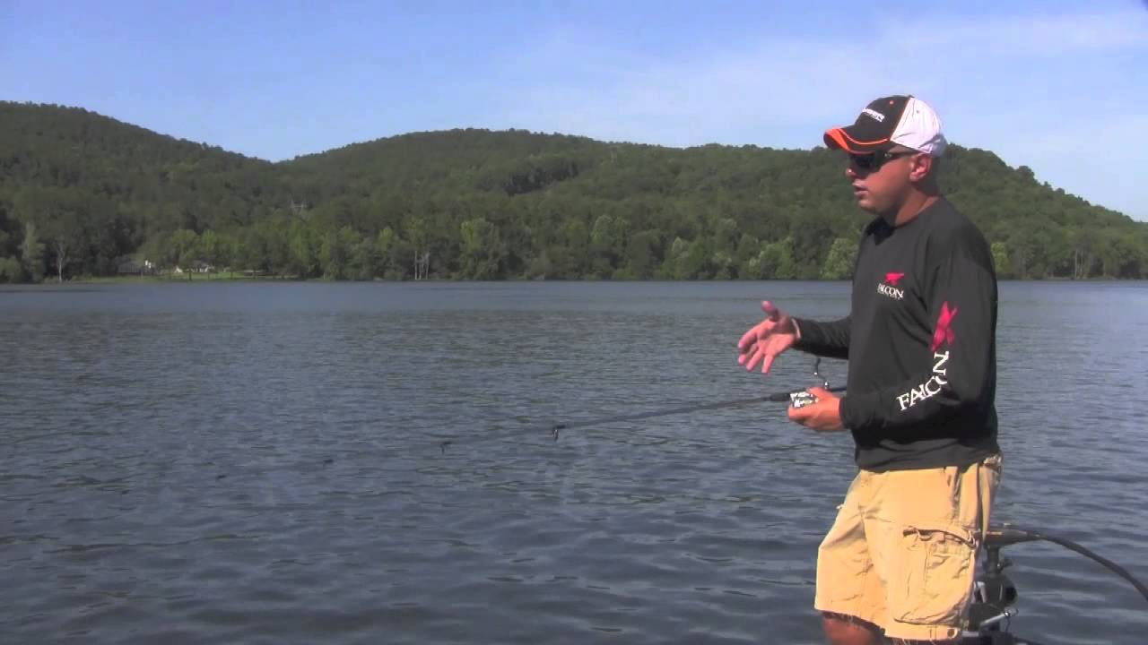 Summertime Ledge Fishing- Dropshot Basics - YouTube