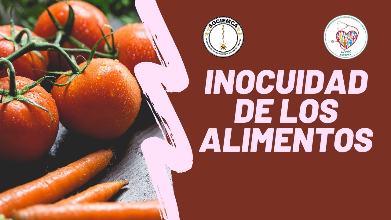 Inocuidad de los Alimentos - YouTube