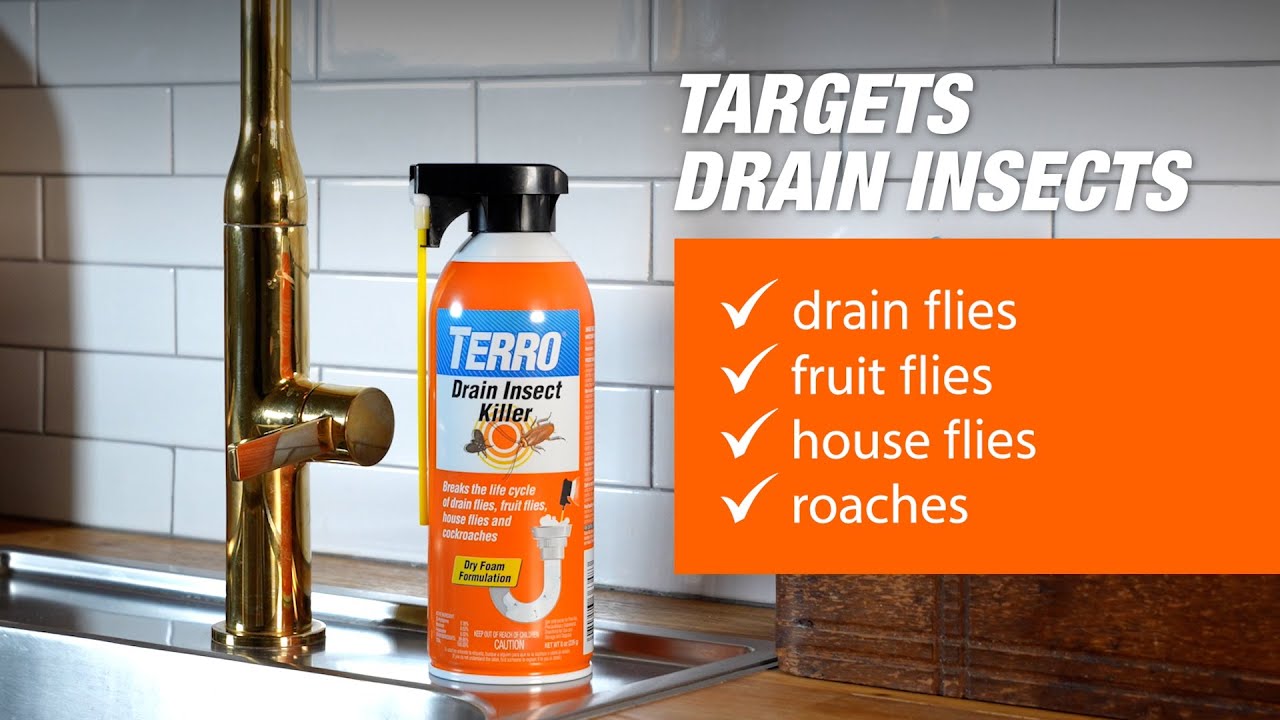 How to Use TERRO Drain Insect Killer - YouTube