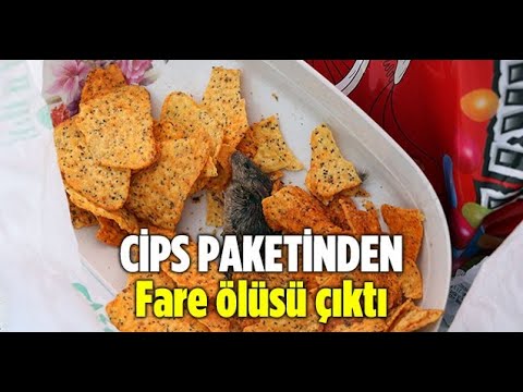 Cipsten Fare Ölüsü Çıktı