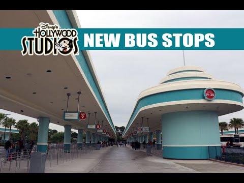 Disney's Hollywood Studios Brand New Bus Stops Opening Day - YouTube