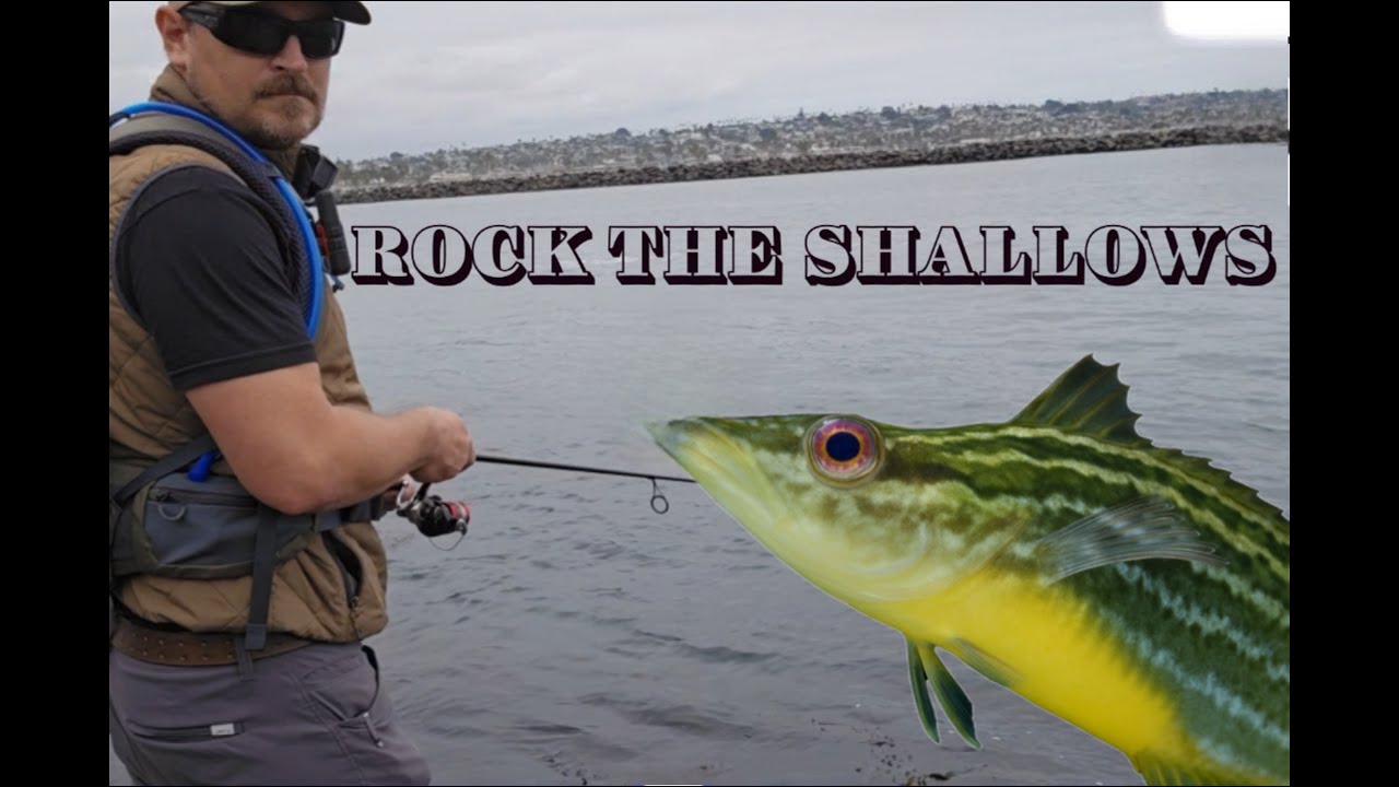 Shallow Water Rock Fishing (Rare Fish!) Please subscribe! - YouTube