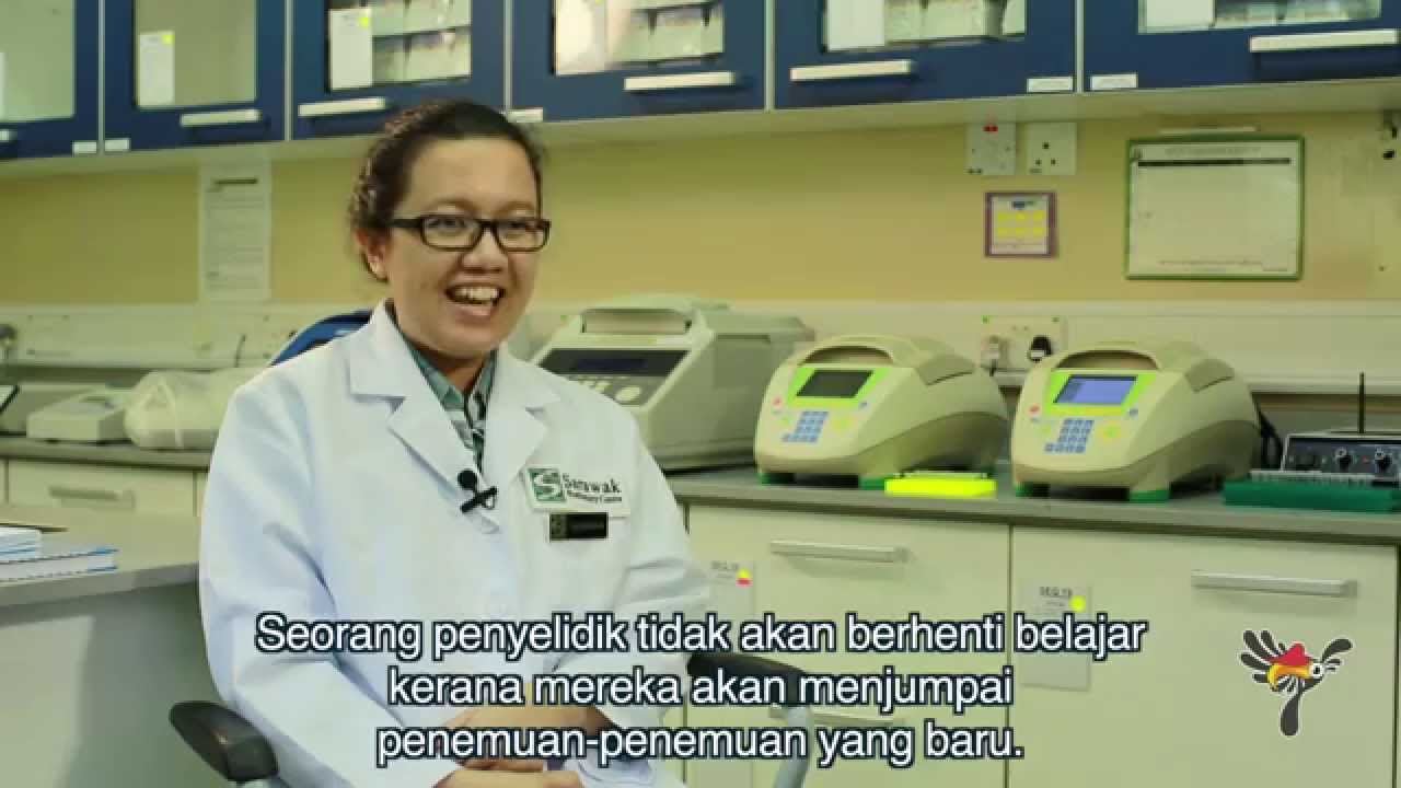 A Day in the Life of a Research Officer - YouTube