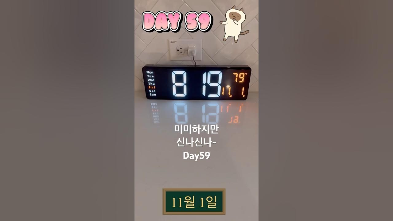 미미하지만 정체기 극복중!!/ 오늘도 고고고 챌린지day59 - YouTube