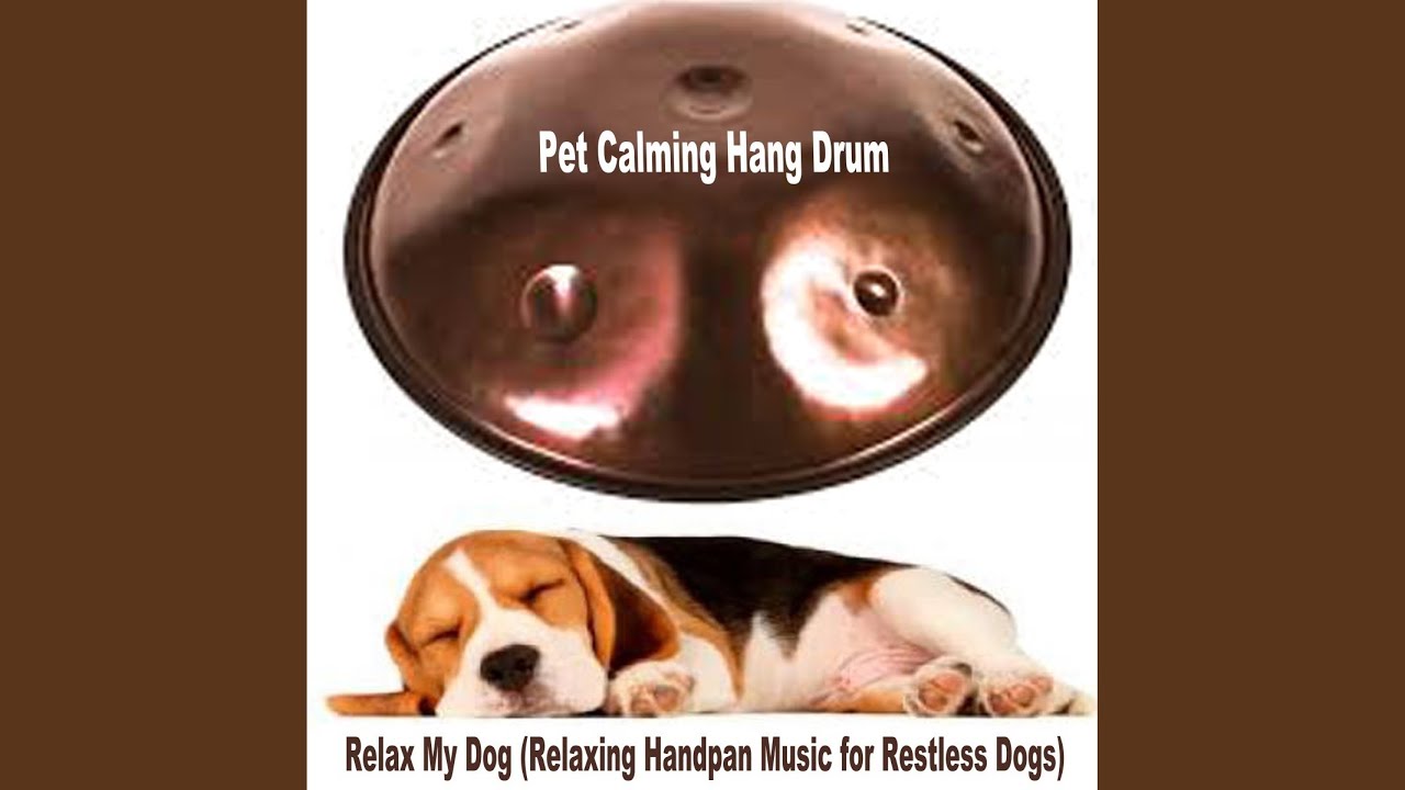 Relax My Dog (Relaxing Handpan Music for Restless Dogs) - YouTube