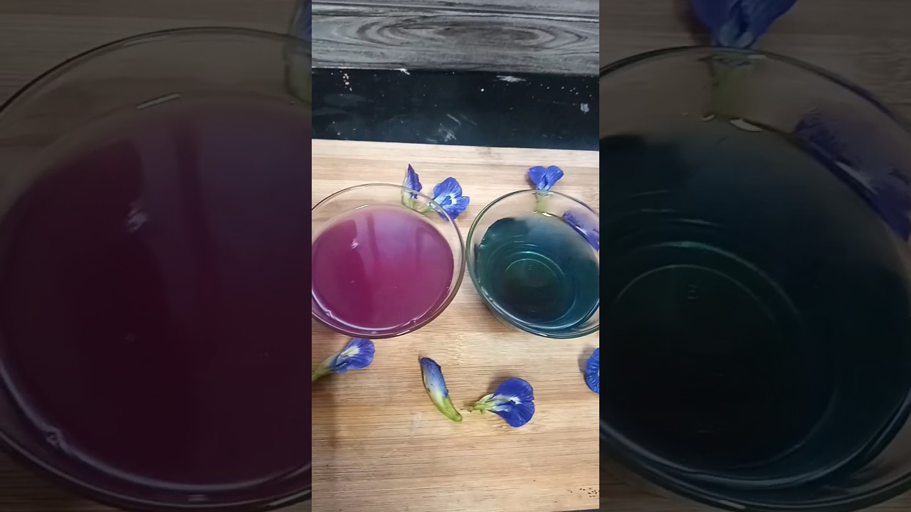 sangu poo tea#blue tea#healthy - YouTube