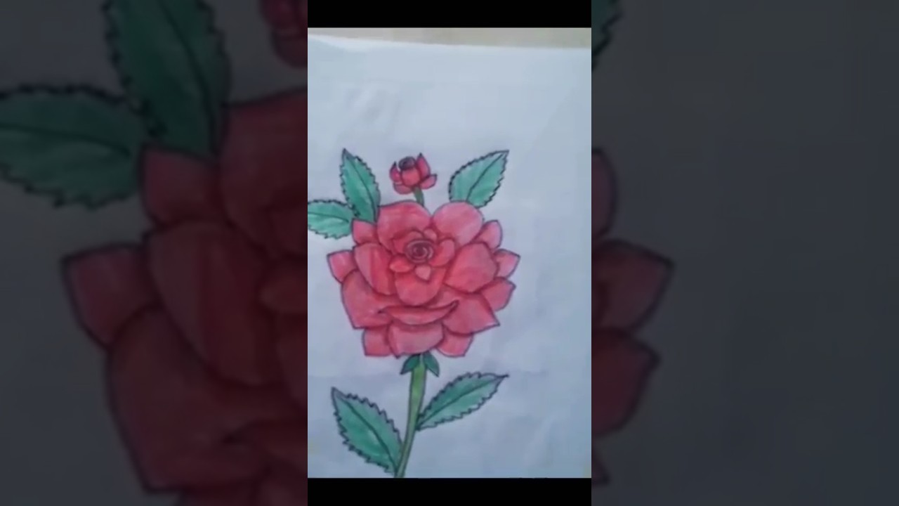 Flower Drowing 🌹#flowers #paintingideas - YouTube