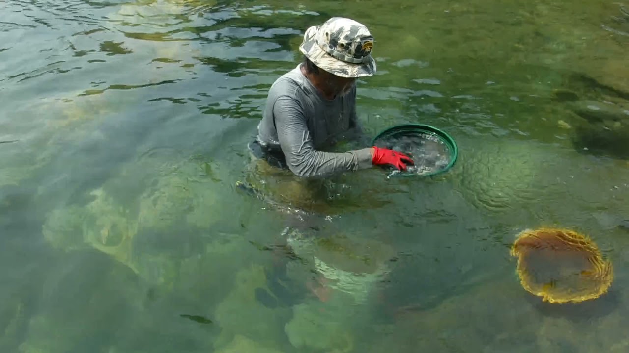 Gold Prospecting - Shoveling onto a Number 4 screen - YouTube