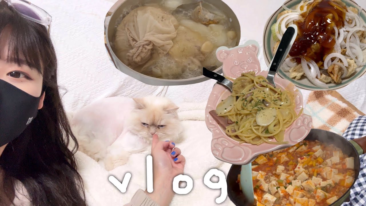 Vlog 요리일상ㅣ고물가시대‘ 외식줄이고 한달 카드값줄이기 🍳 첫백숙도전 샐러드김밥만들기 마파두부만들기 버섯탕수육만들기