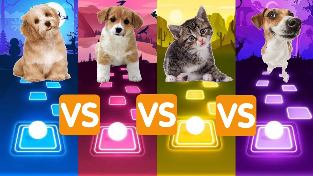 Cute Puppy 🆚 Cute Puppy 🆚 Cute Cats 🆚 Cute Puppy - Tiles Hop Edm Rush 🎶 ...