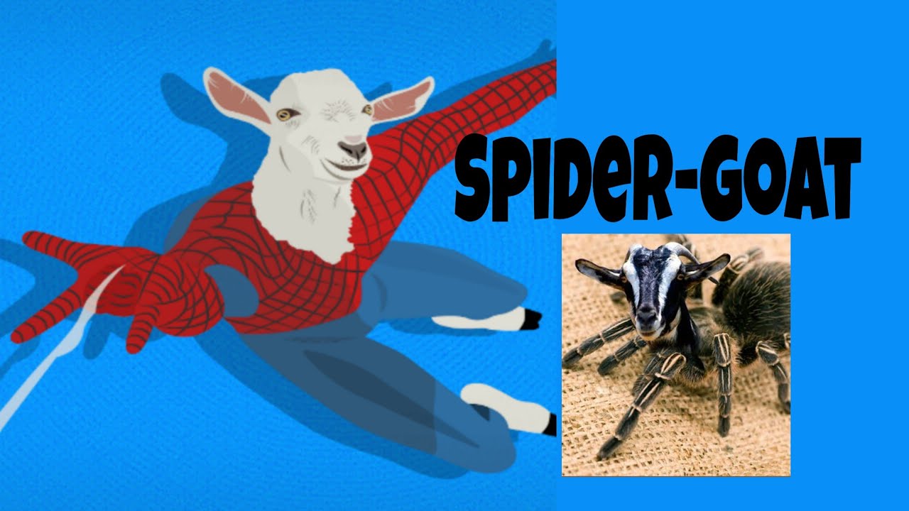 Spider Goat | Goat Like Spiderman 🕷| Strongest Spiderweb In The World ...