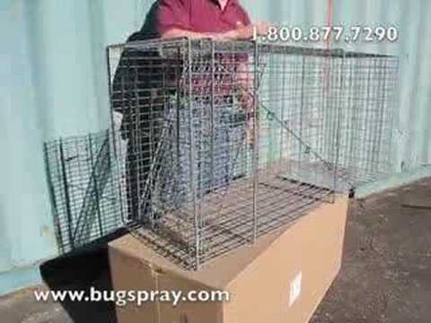 Live Trap 48 Inch Long Setup - YouTube