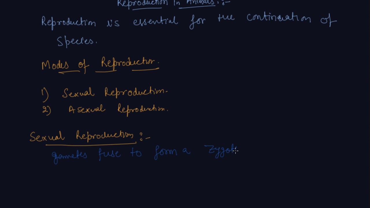 Reproduction in Animals | Class 8 Biology Reproduction in Animals - YouTube