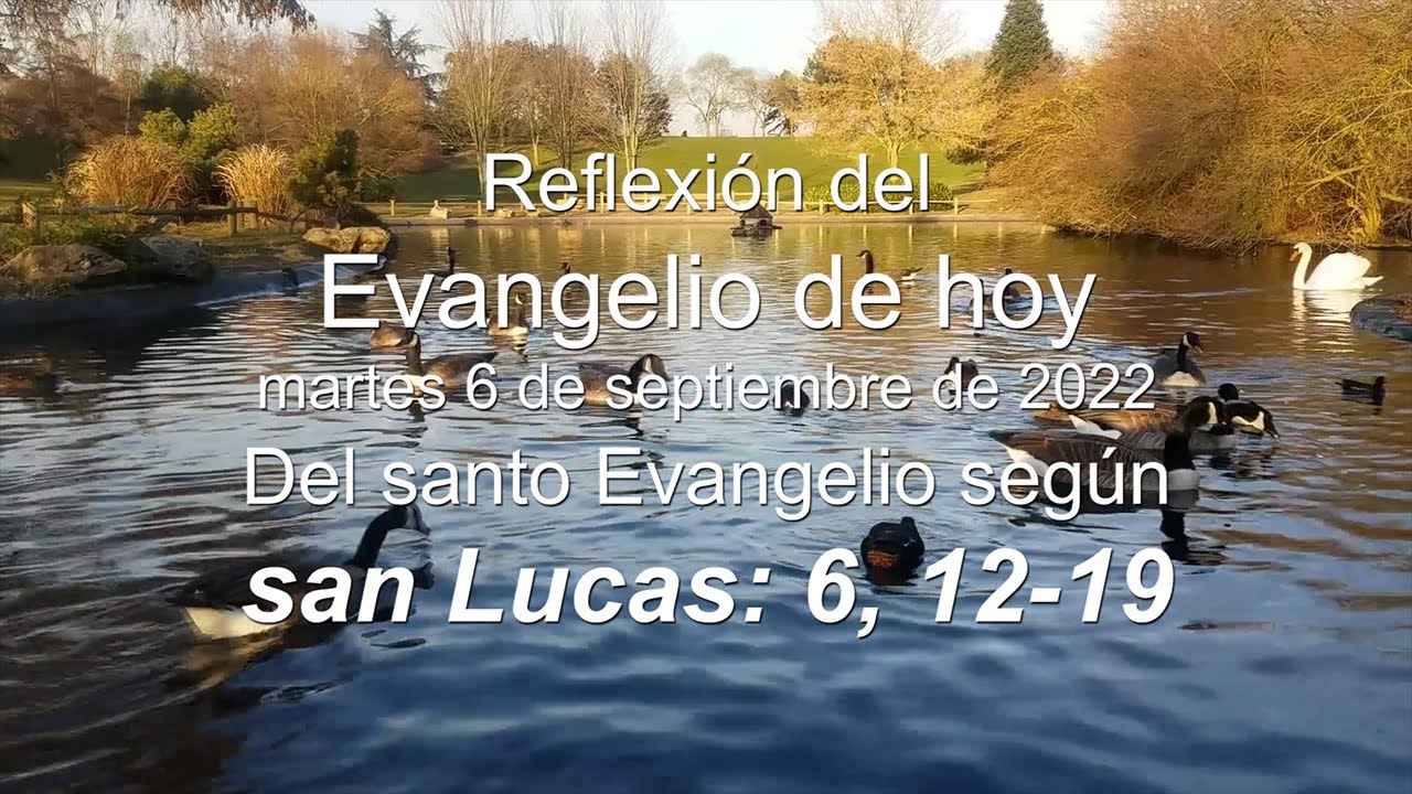 Reflexión del Evangelio de hoy martes 6 de septiembre de 2022, según ...
