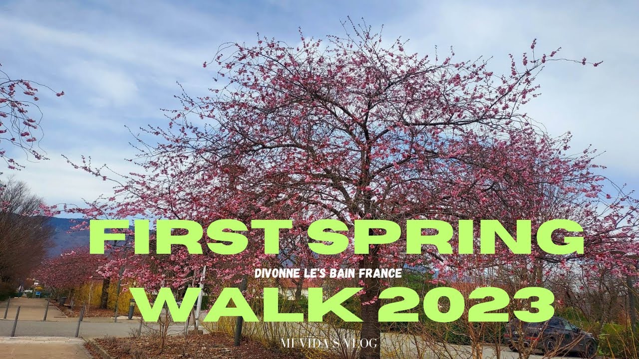 First Spring Walk 2023 at Divonne Le's Bain France | #sakura # ...