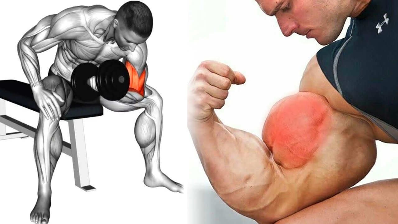 Huge Biceps Workout With Dumbbells Only - Arm Workout -Biceps Exercises ...