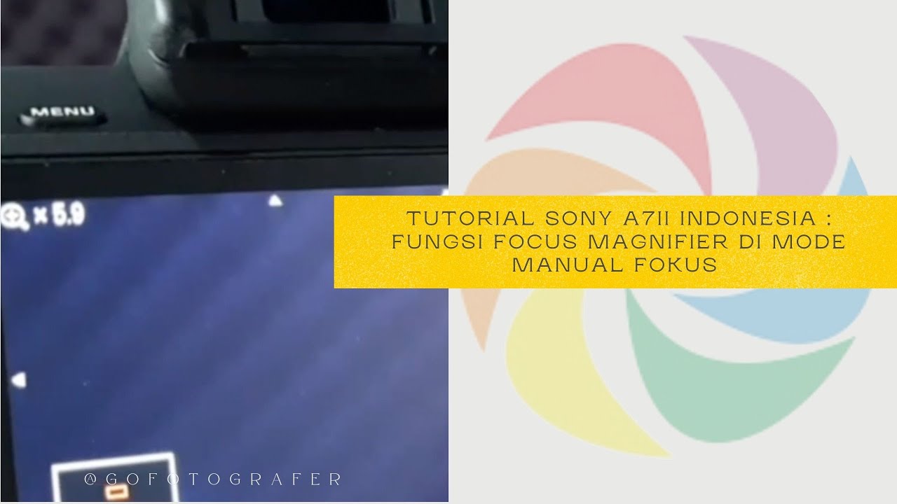 Tutorial Sony A7II Indonesia : Fungsi dan Mengaktifkan Focus Magnifier ...