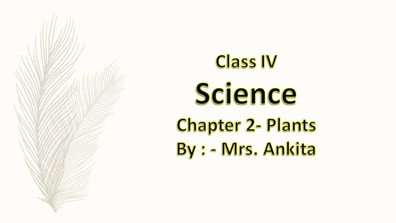 Class IV - Science - Chapter 2 Plants (Value Based Lessons and ...