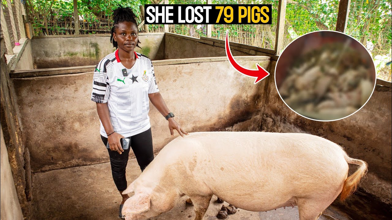 How A Female Pig Farmer Started Her Farm After Losing ALL Her Pigs In TWO YEARS - Inspiring ...