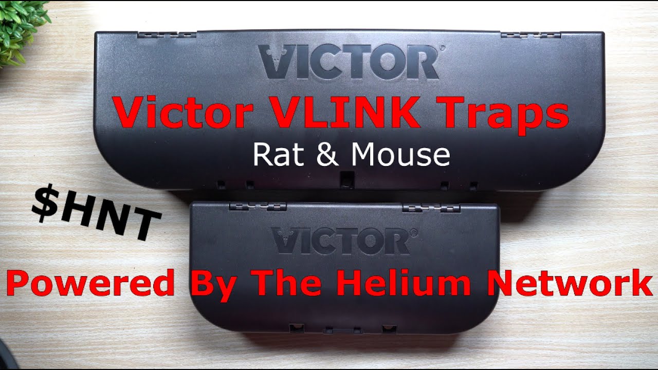 Victor VLINK Traps - Powered By The Helium Network | CAUGHT A MOUSE ...