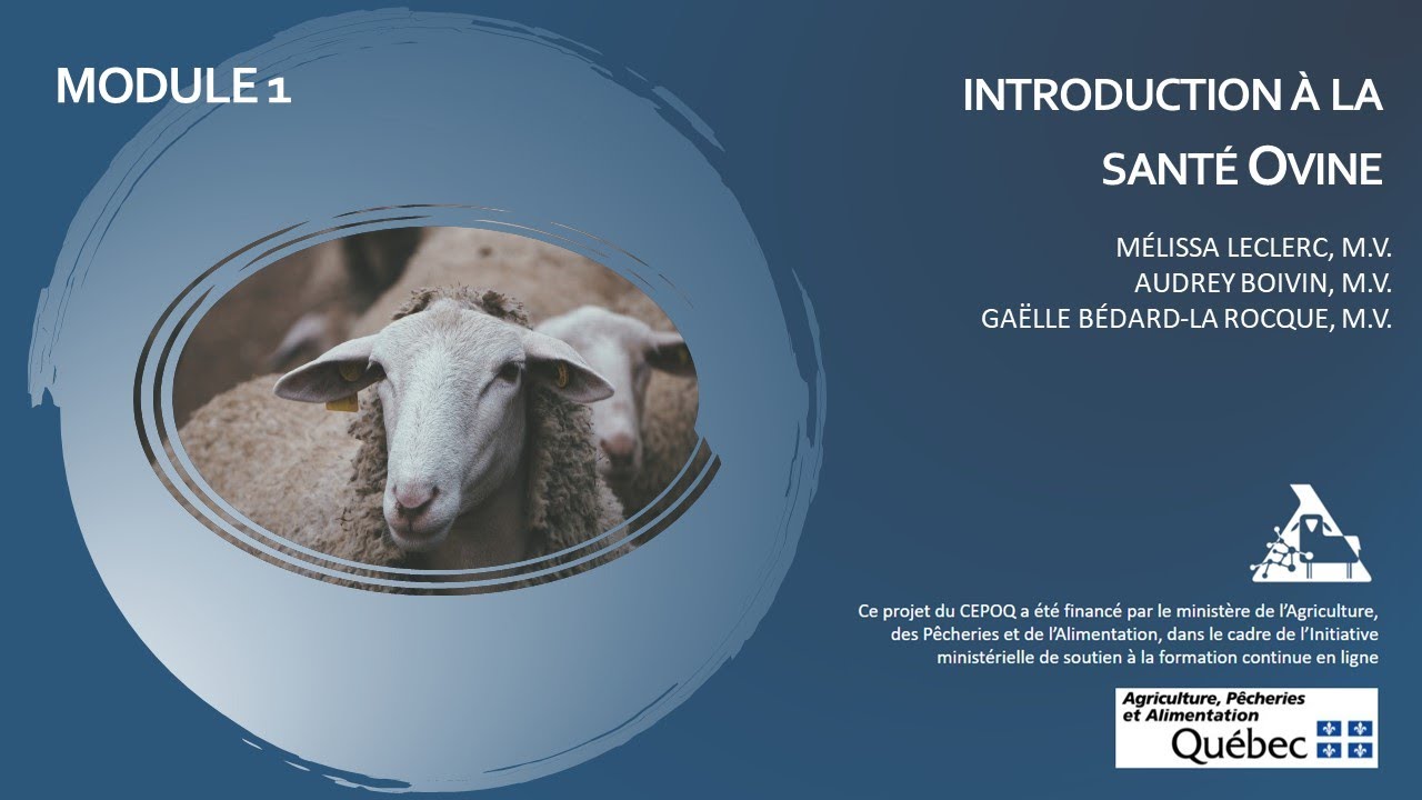 Formation en santé ovine - Introduction à la santé ovine (Module 1 ...