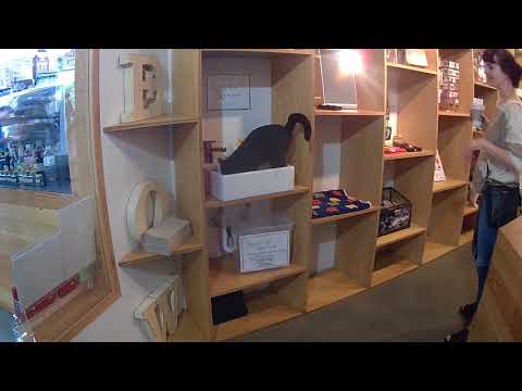 Catfe in downtown vancouver!