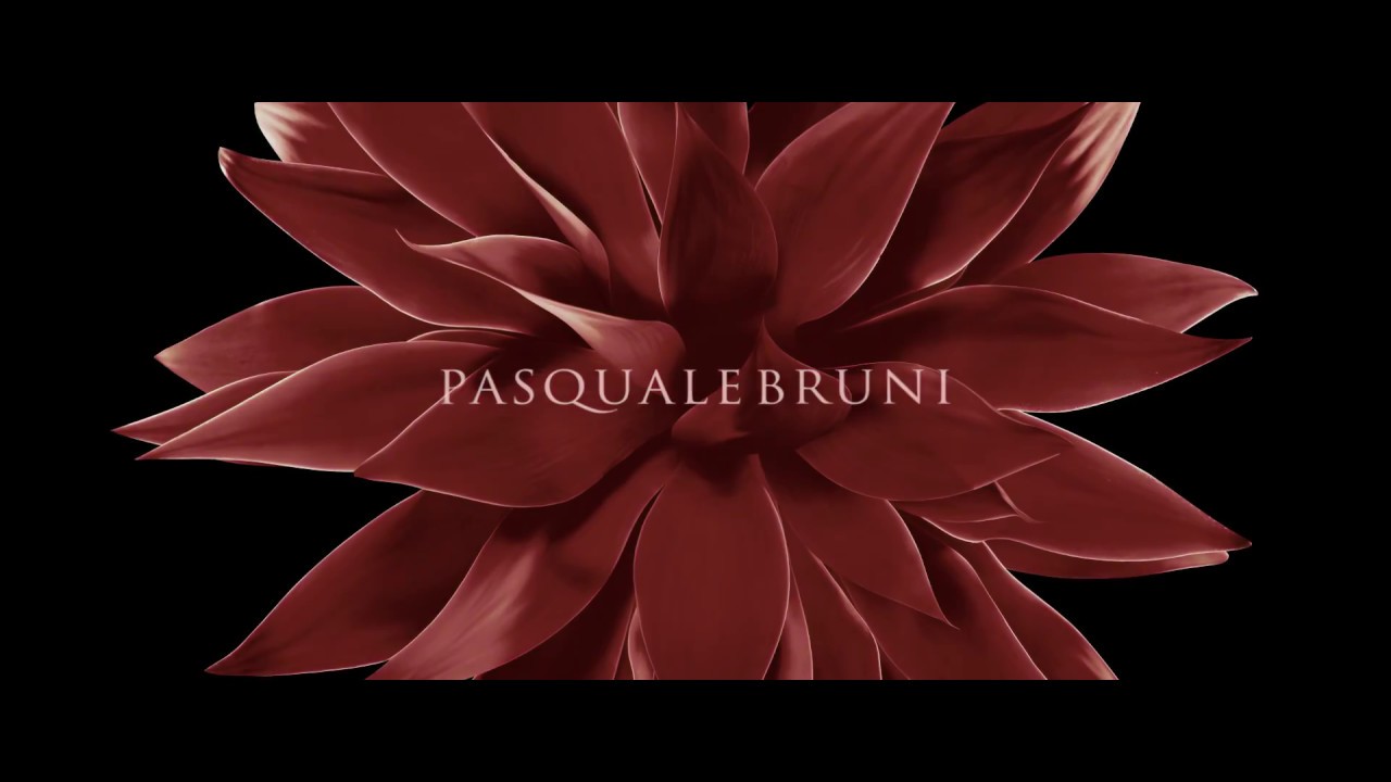 Pasquale Bruni _ In the Heart of Love. Backstage - YouTube