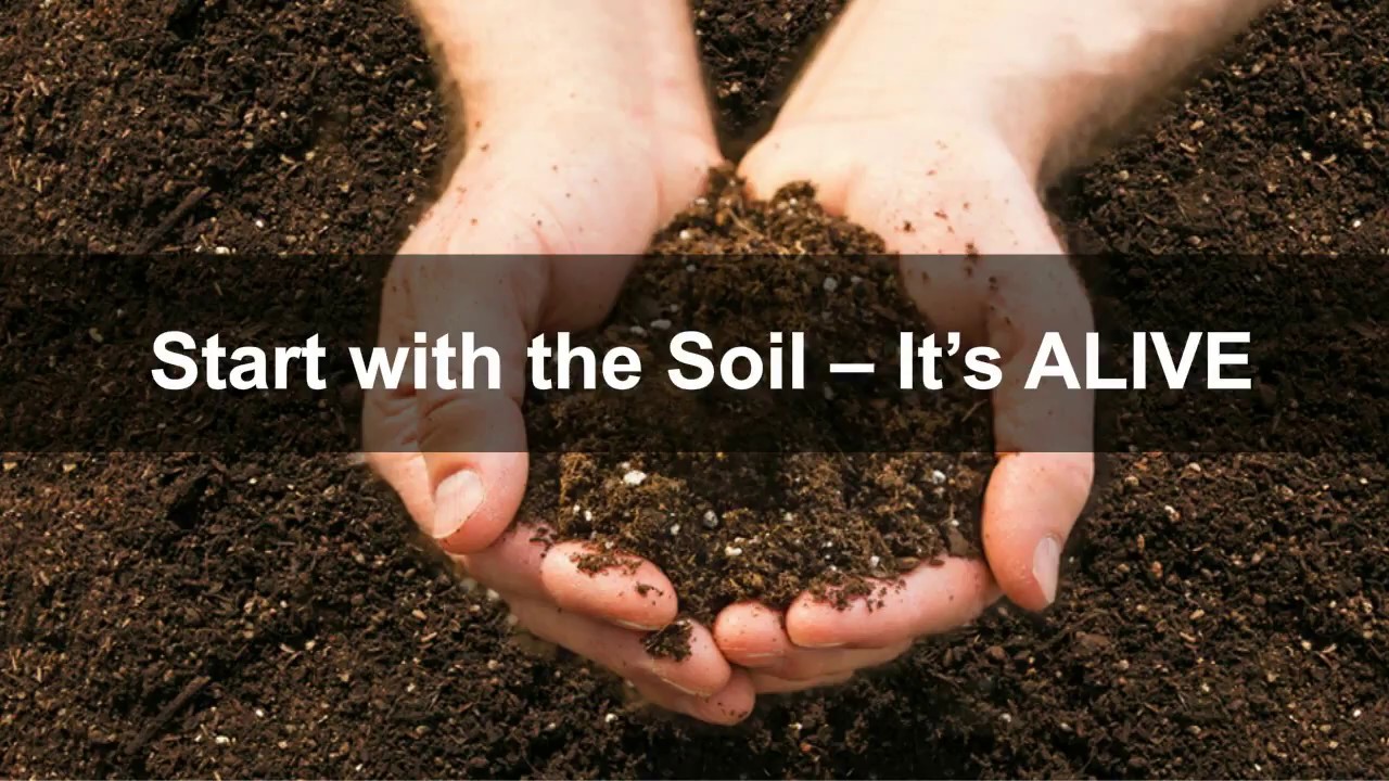 Geoponics - The Philosophy Of Living Soil - Growing Cannabis with ...