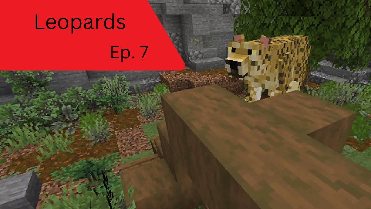 Leopards | Minecraft Zoo Ep. 7 - YouTube