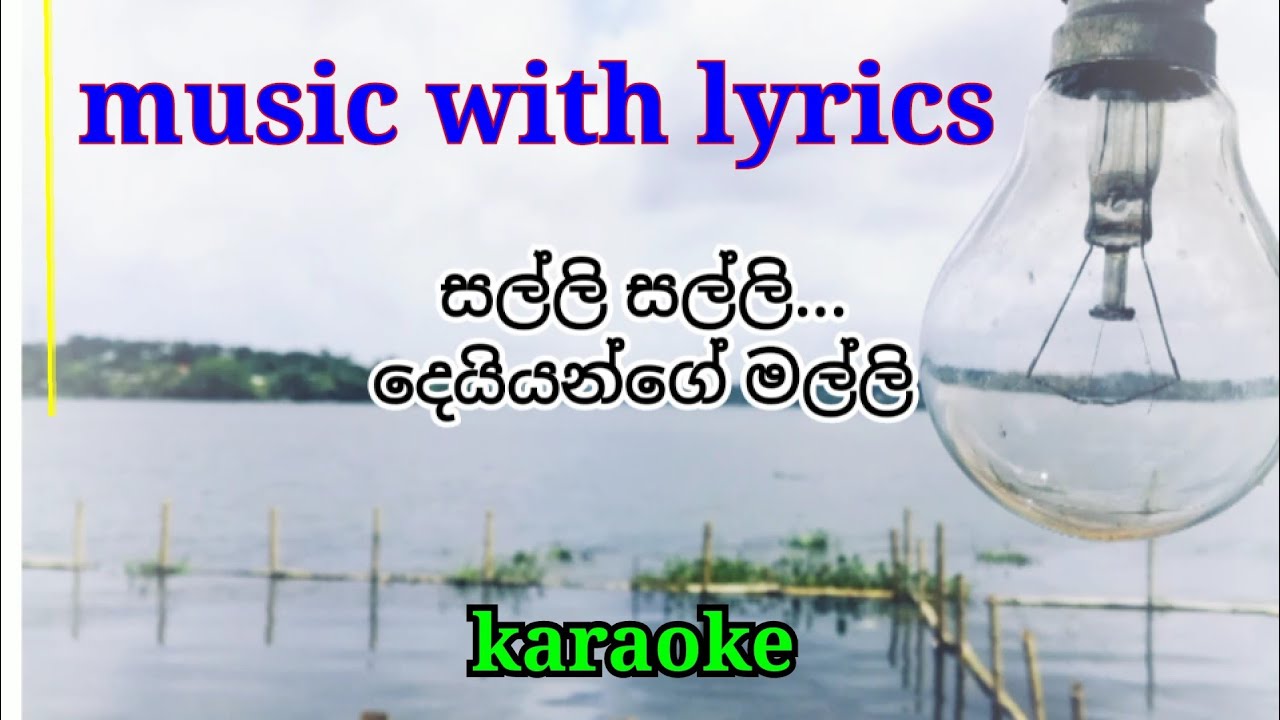 Salli (සල්ලි) | Sarith & Surith ft.KVN | music with lyrics | salli ...