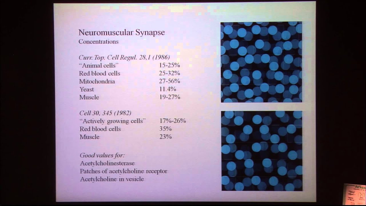 Visualizing the Molecular Structure of Cellular Environments - David ...