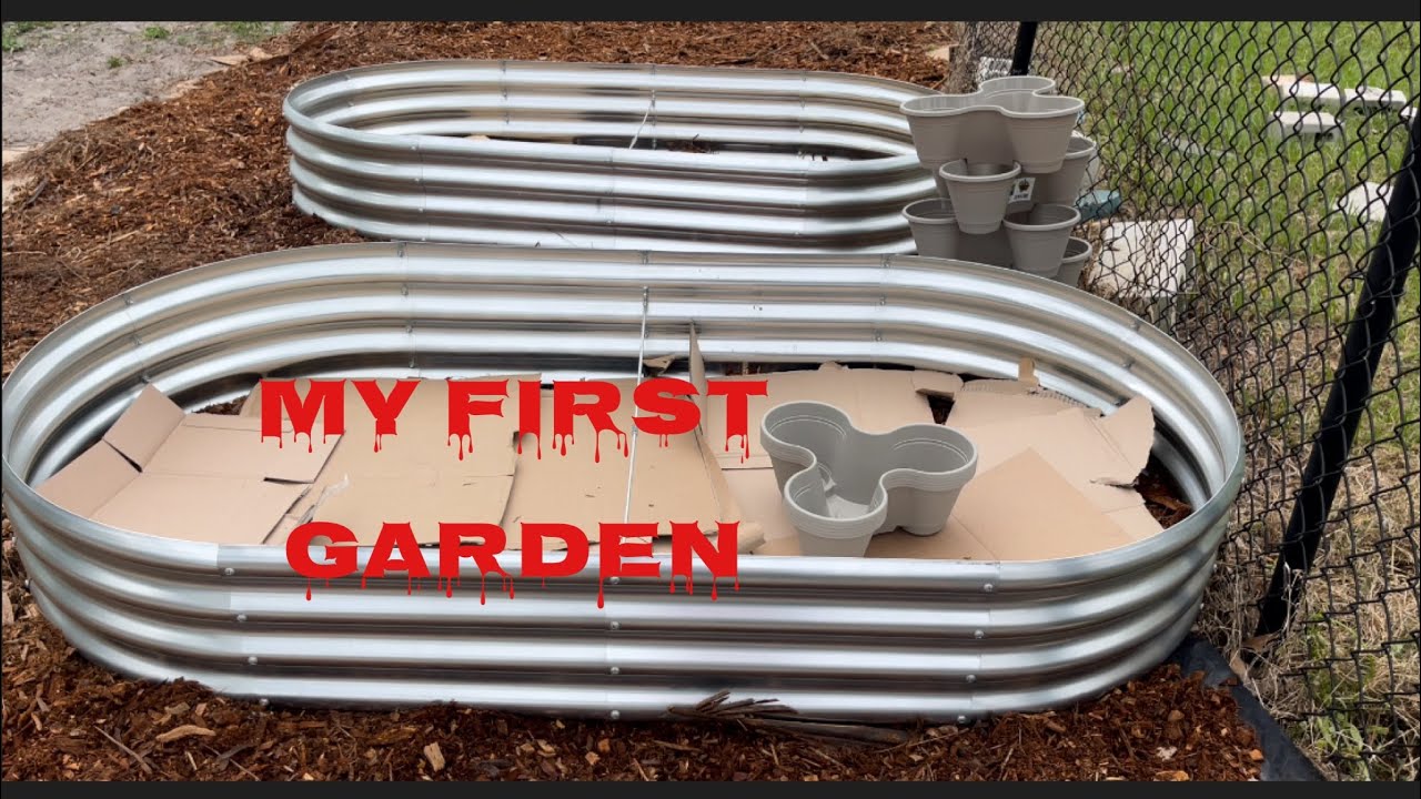 Gardening 101/starting a garden from scratch/making my first garden ...