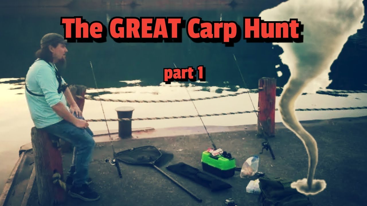 The GREAT Carp Hunt (part 1) - YouTube