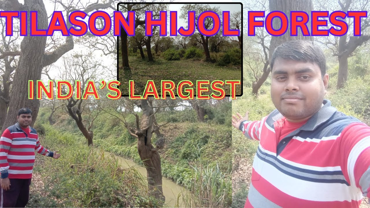 Exploring India's Largest Hijol Forest: A Thrilling Adventure! তিলাসন ...
