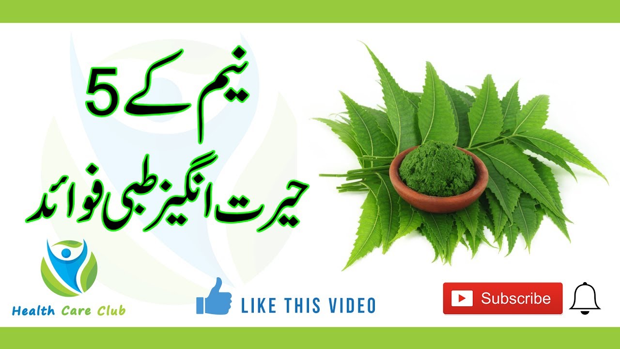 Neem Ke Patte Ke Fayde | Neem Tree - YouTube