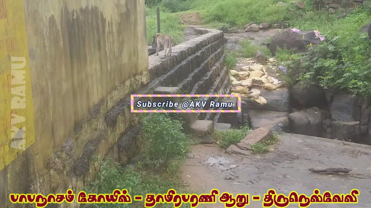 Papanasam Temple River | Thamirabarani floods 2021 Today Thalayanai ...