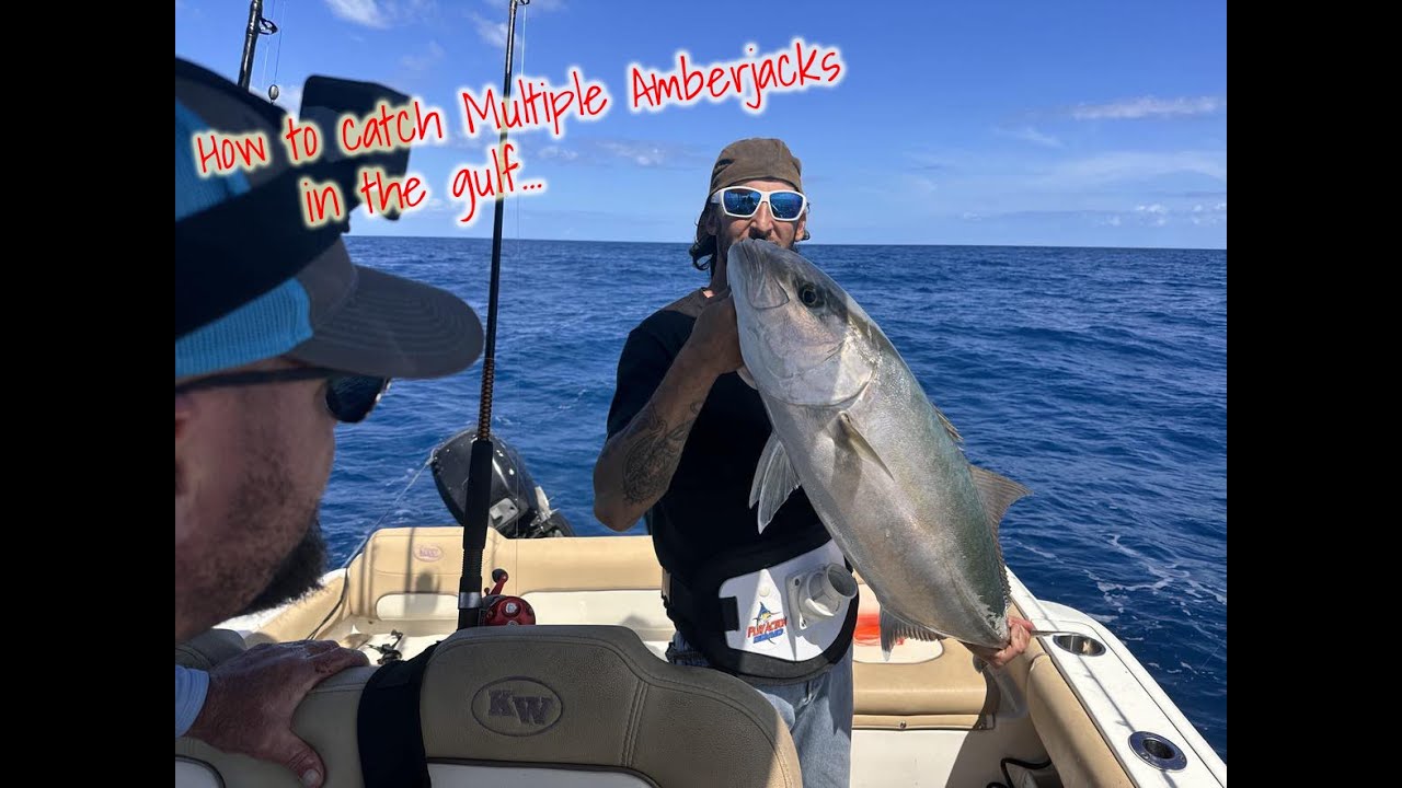 How to catch multiple Amberjack in the GULF - YouTube