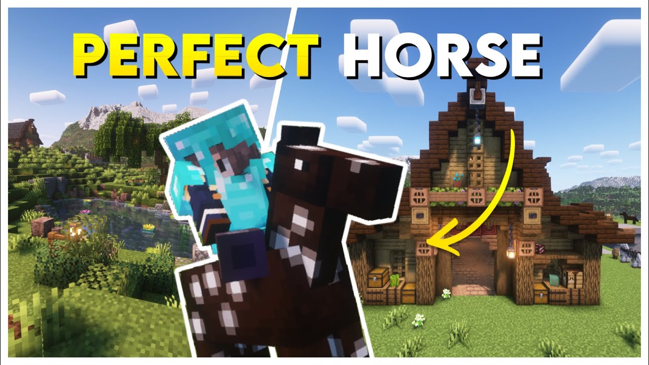 How I Bred the Perfect Horse in Minecraft Survival - YouTube