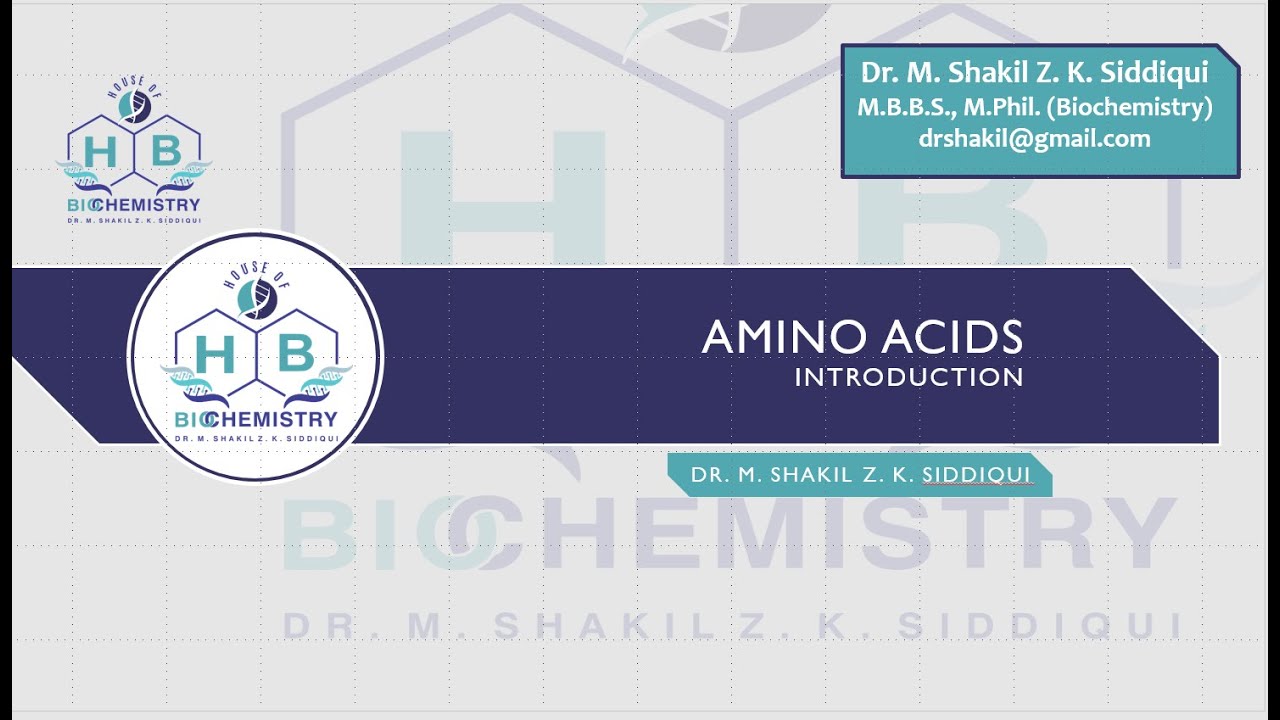 101 Amino Acids Introduction - YouTube