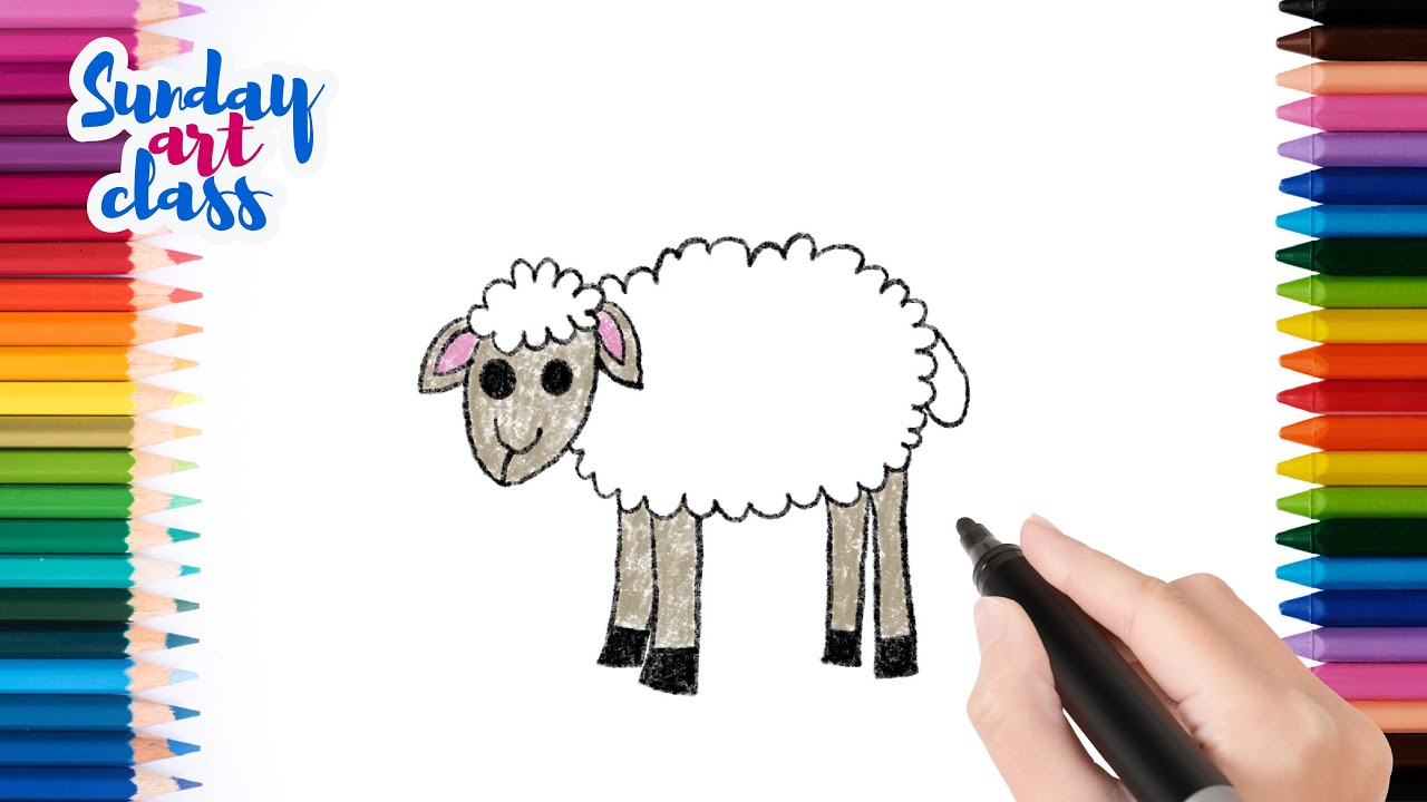 Sheep Drawing for Kids - Draw for Kids | Sunday Art Class (Animal ...