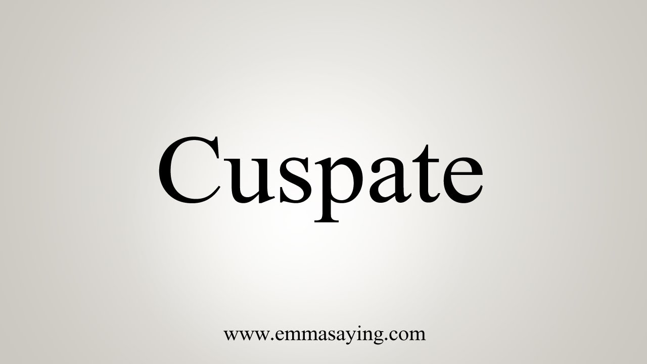 How To Say Cuspate - YouTube