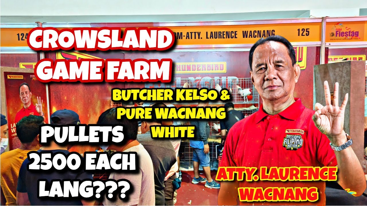 FIESTAG 2023 ATTY. LAURENCE WACNANG | CROWSLAND GAMEFARM | BREEDER ...
