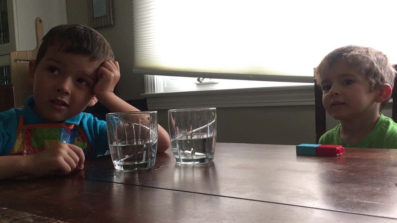 Conservation and reversibility tasks - YouTube