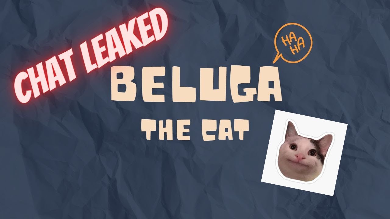 Beluga vs Romo | Live Chat | Chat Leaked | Memes | Memever - YouTube