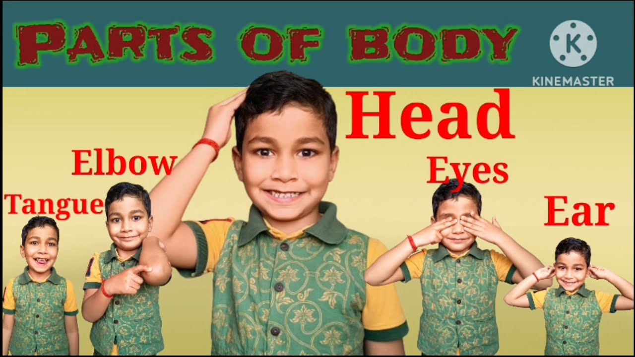 Learn Parts Of The Body, Parts Name with Spelling and Use #bodyparts # ...