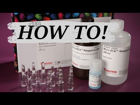 How to Do BCA Protein Assay at Home - YouTube