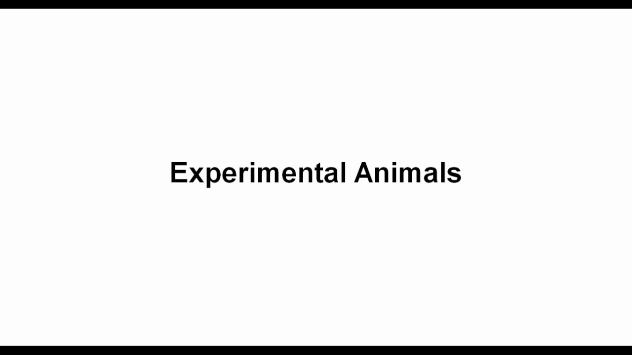 1- Experimental Animals - YouTube