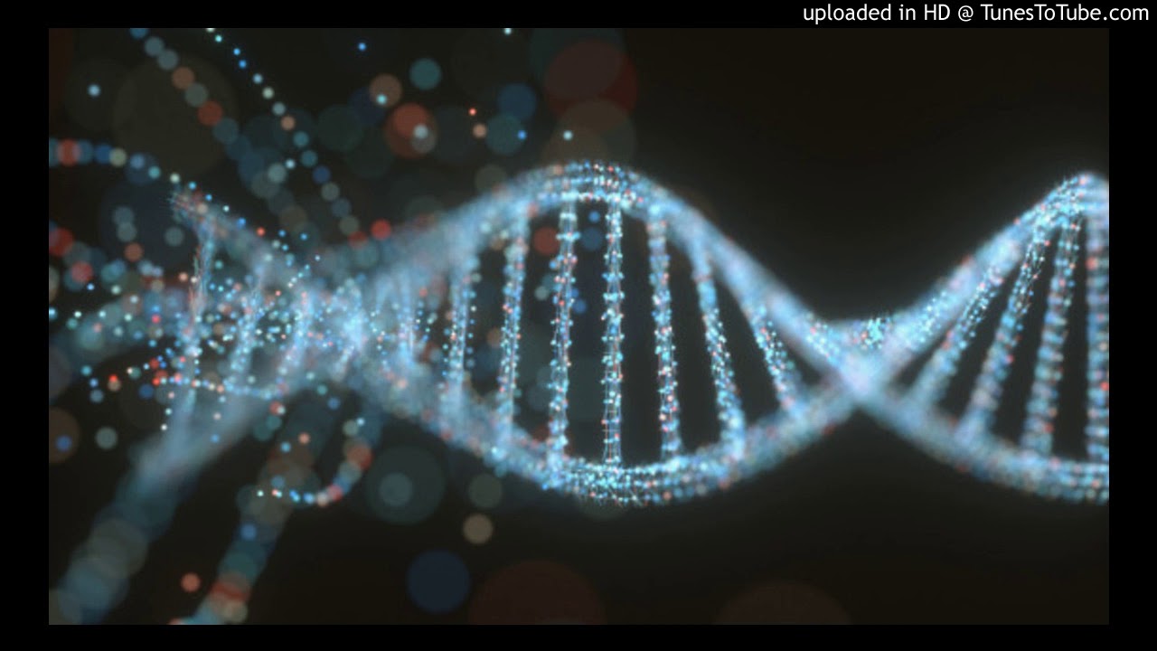 dna ft g nutz and b-kno g - YouTube