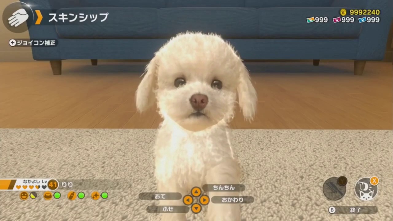 Little Friends: Dogs & Cats Official Features Nintendo Switch Trailer ...